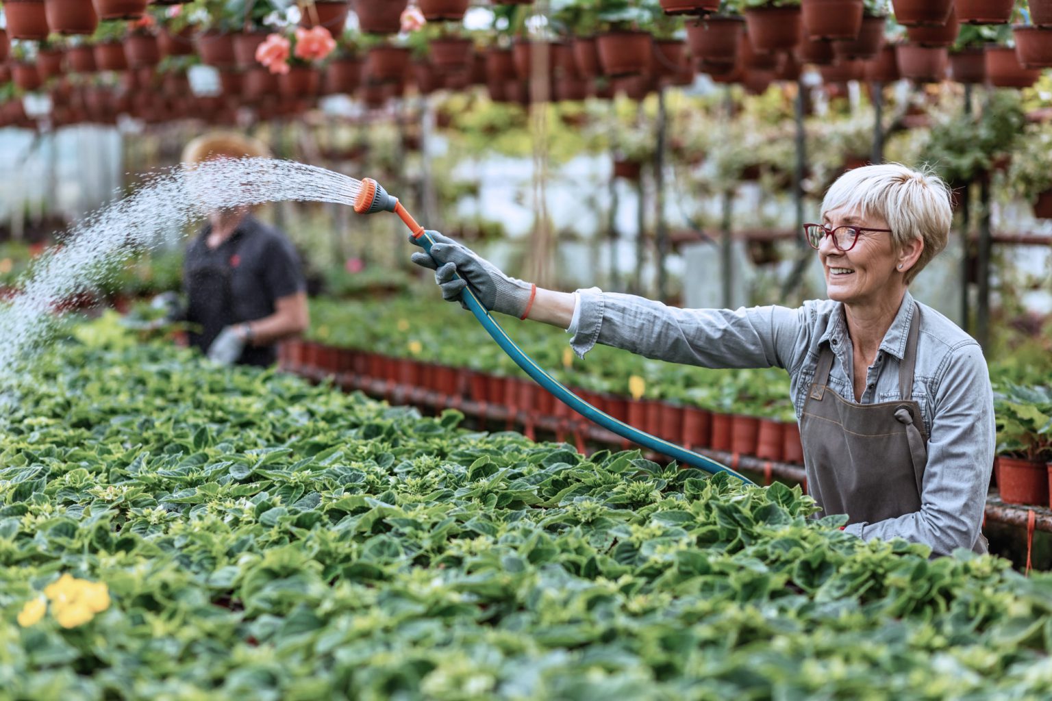 Deep Blue Investment Advisors